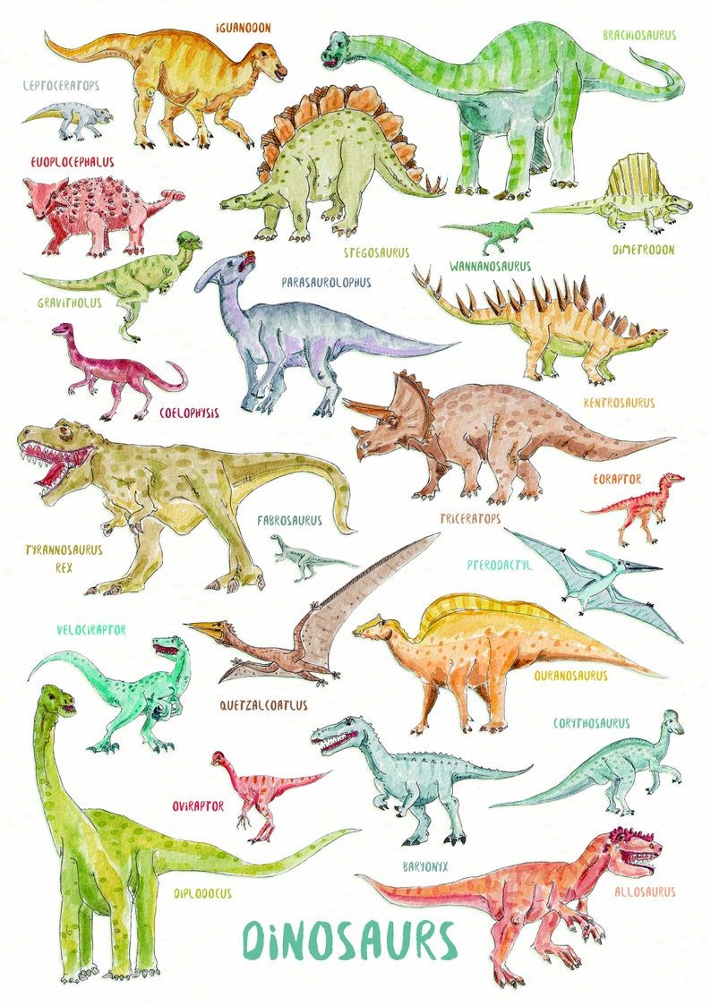 Dinosaur Chart Species Dinosaur Chart Species