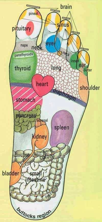 110 Body Maps Ideas Reflexology Massage Therapy Acupressure