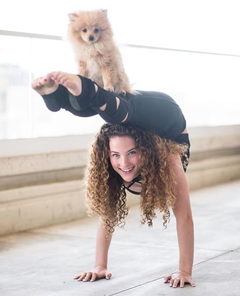8 Sofi Dossi Ideas Sofie Dossi Gymnastics Poses Gymnastics Flexibility