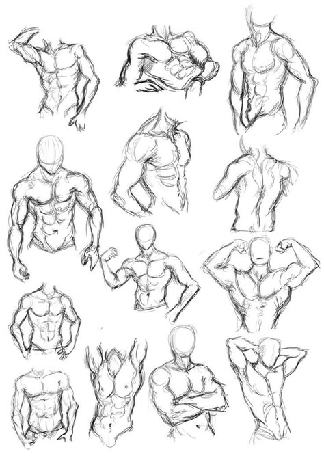 Male Body Sketches