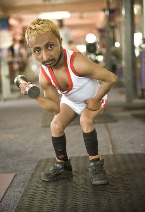 Sexiest Midget Telegraph
