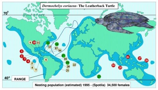 Green Sea Turtle Habitat Map
