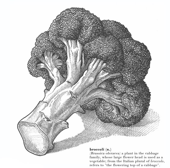 GitHub - iamharryliu/vigilant-broccoli GitHub - iamharryliu/vigilant-broccoli