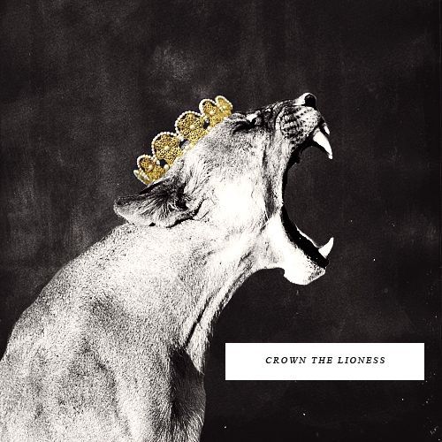 Lioness Wearing Crown