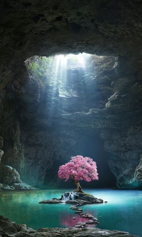 Pin Van 独断偏見etc Op 絶景 Fotografie Natuur Zomerachtergronden Natuurfotografie