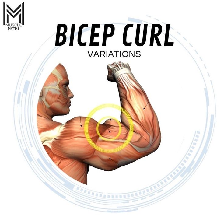 Grow Your Bicep Size And Strength With These 9 Highest Rated Exercises