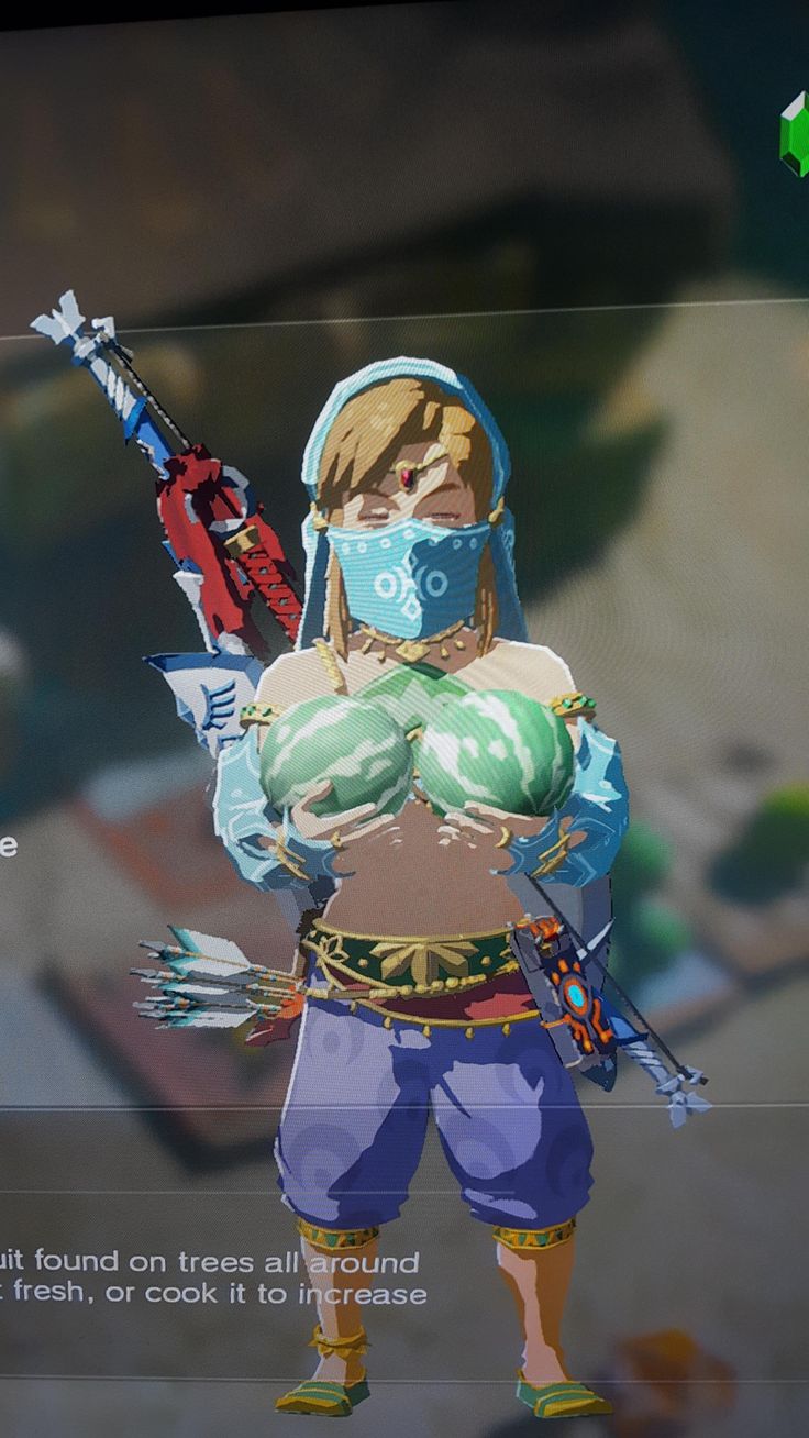Links Got Some Nice Melons Possible Botw Spoiler Legend Of Zelda