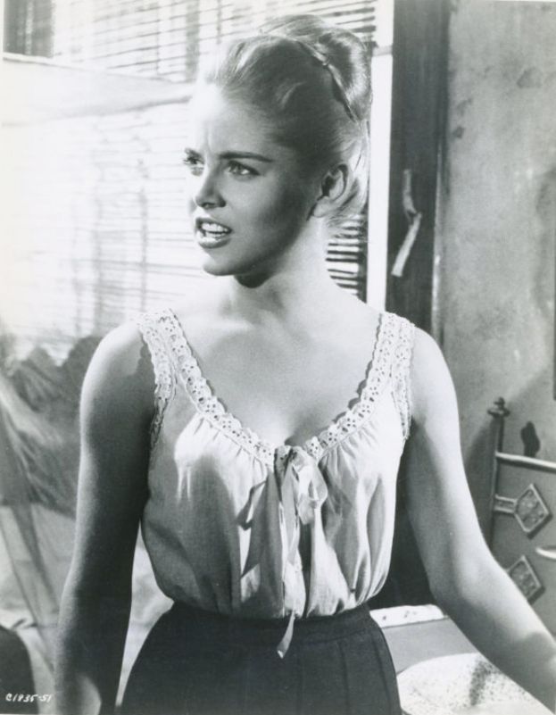 Picture Of Sue Lyon Actresses Classic Actresses Old Hollywood Glamour
