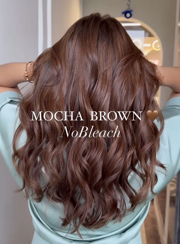 Mocha Brown No Bleach Hair Color Ideas Inspo Chestnut Hair Color Hair Color Balayage