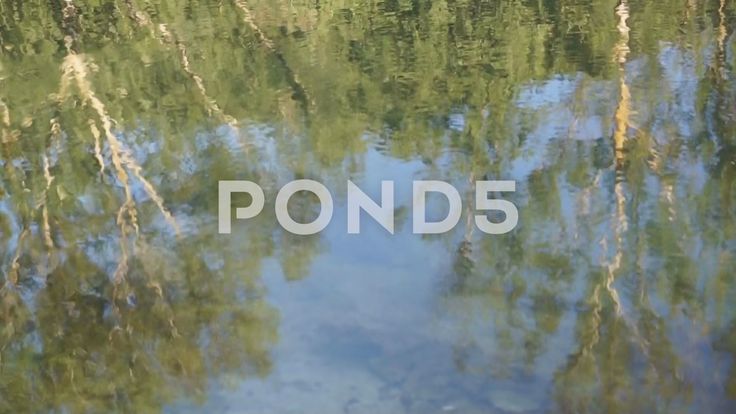 Shot of lake scenic in summer. Blurred nature unfocused background ... Shot of lake scenic in summer. Blurred nature unfocused background ...