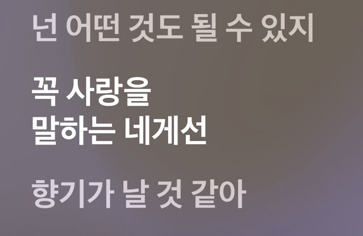 Text에 있는 핀 사랑 노래 가사 영감 인용구 노래 가사