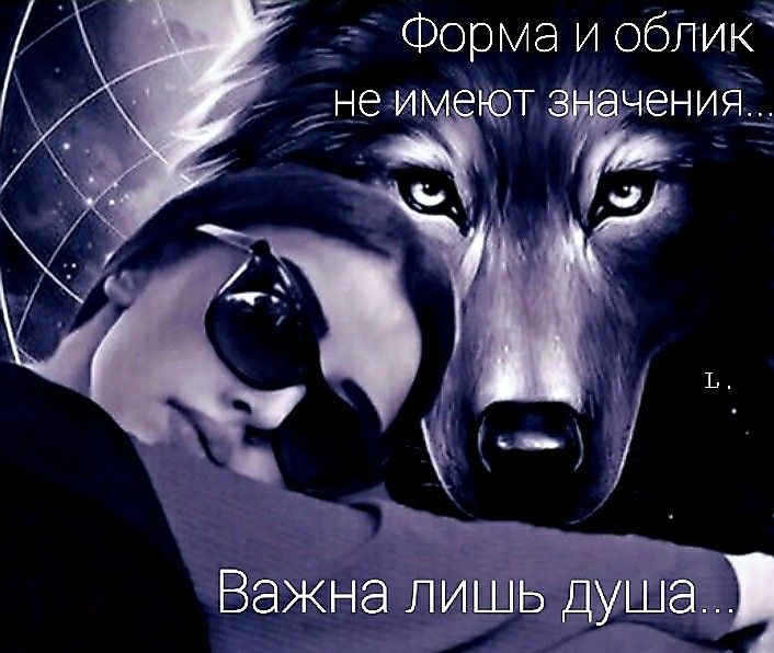 Pin Von СвеÑÐана ÐоÐÐ±Ð°Ñ Auf Волки цытаты