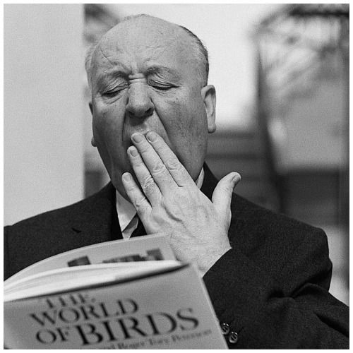 Alfred Hitchcock Photographic Collection