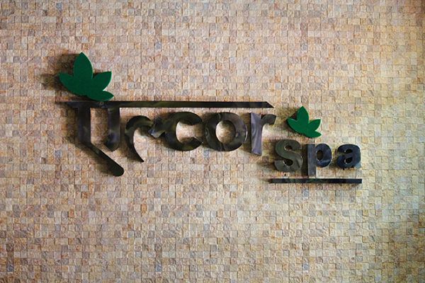 Body Massage Spa In Delhi Ncr Body Massage Spa Spa Massage Body Massage