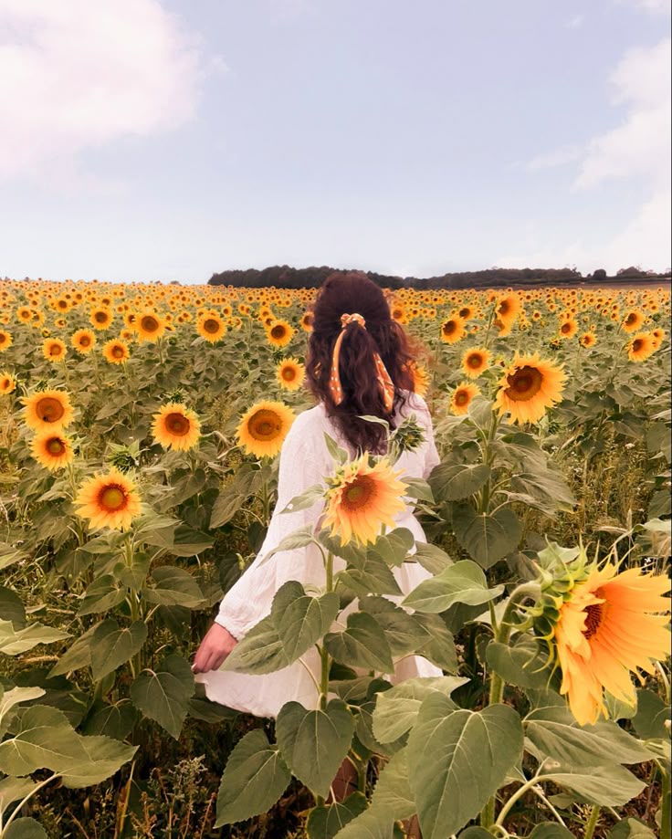 Girls Just Wanna Have Sun Flowers 🌻🌻 Sunflower Field Pictures Sunflower Sunflower Fields