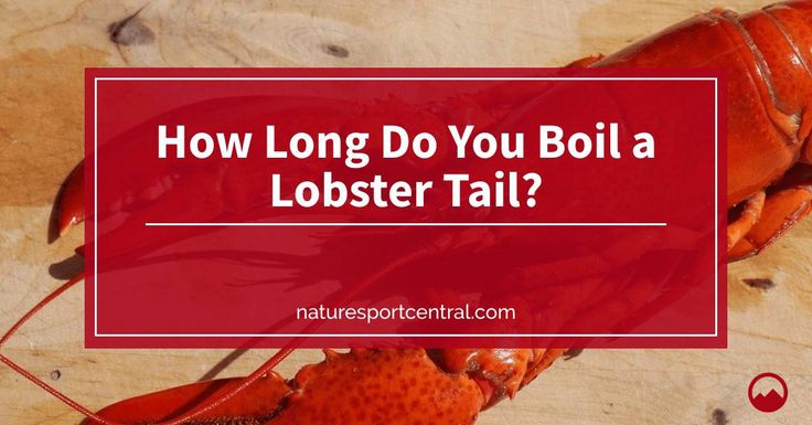 How Long To Boil Lobster Tail Easy Lobster Cooking Guide