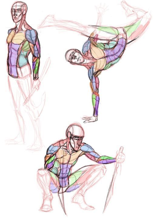 게임일러스트 Or 게임원화를 위한 인체해부학아나토믹 자료 Disegno Di Anatomia Design Del