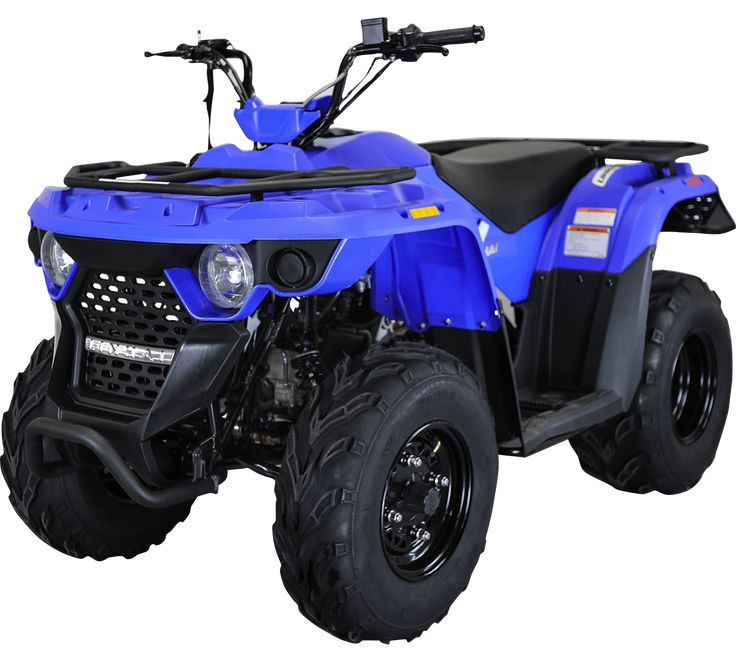 27 Best Massimo Utv Images On Pinterest Atvs Deer Hunting And Hunting