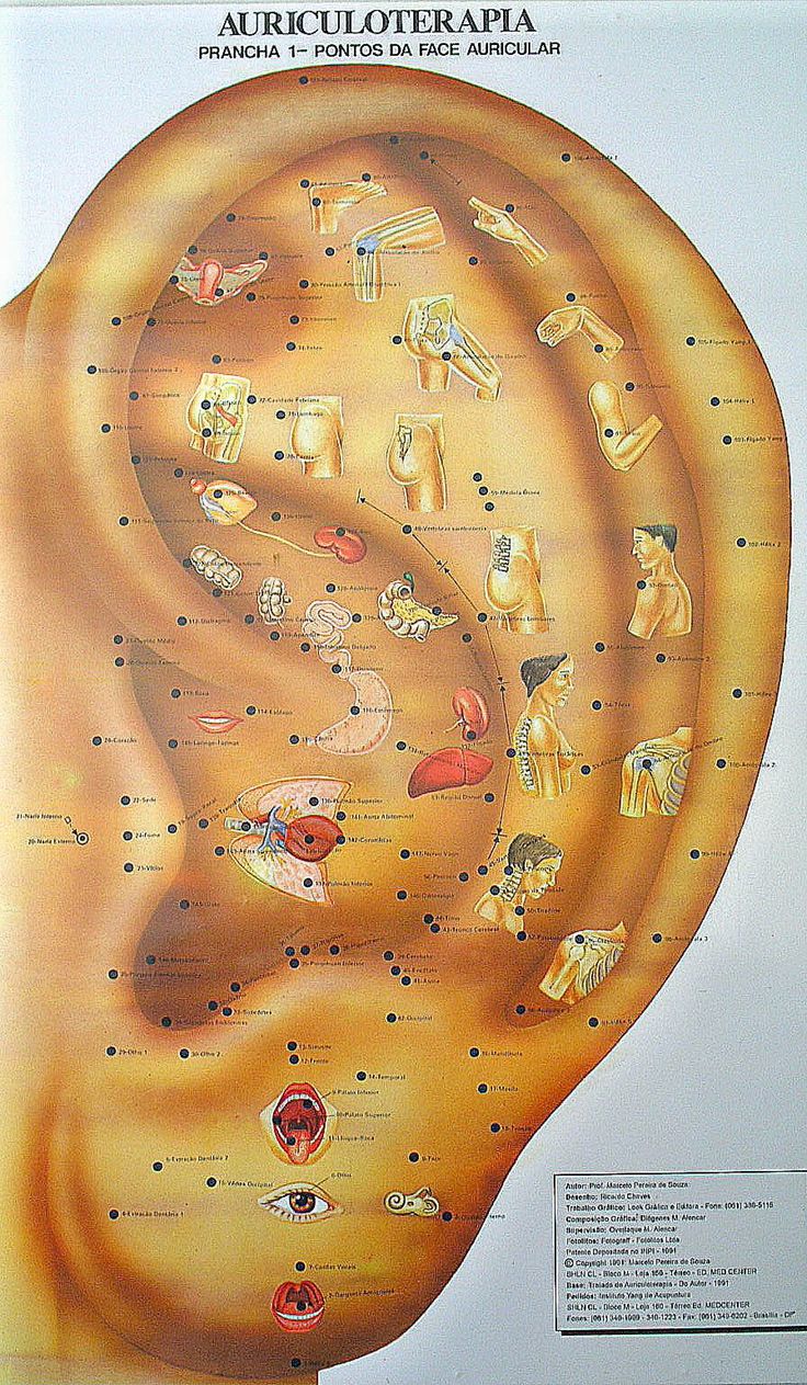 Acupuncture Points For Auricular Therapy Massage Tips Massage