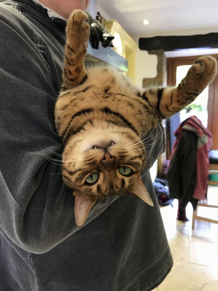 She Likes To Be Upside Down