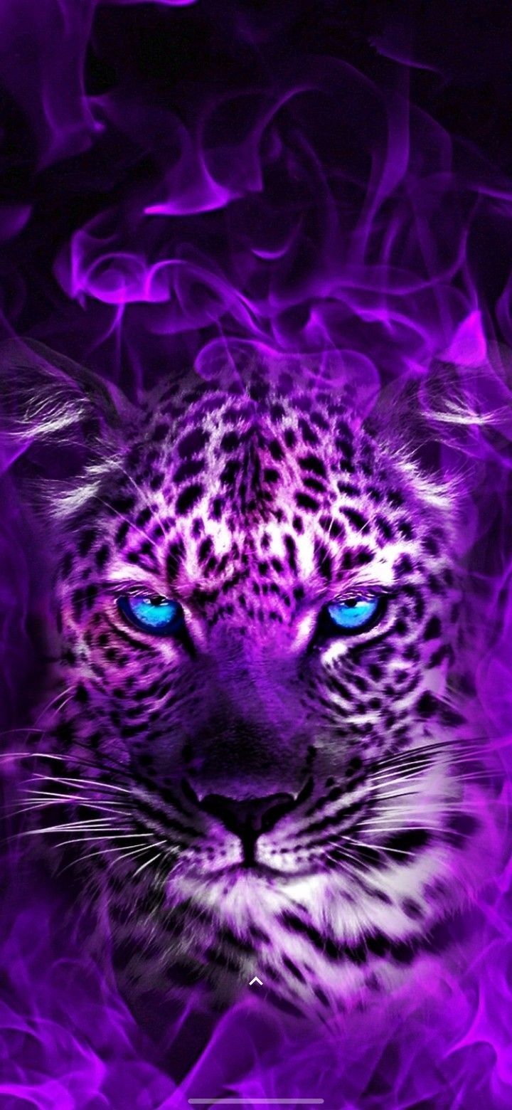 Pin Von 👑queensociety👑 Auf Queens Ultra Purpleand Neon B Ue Große