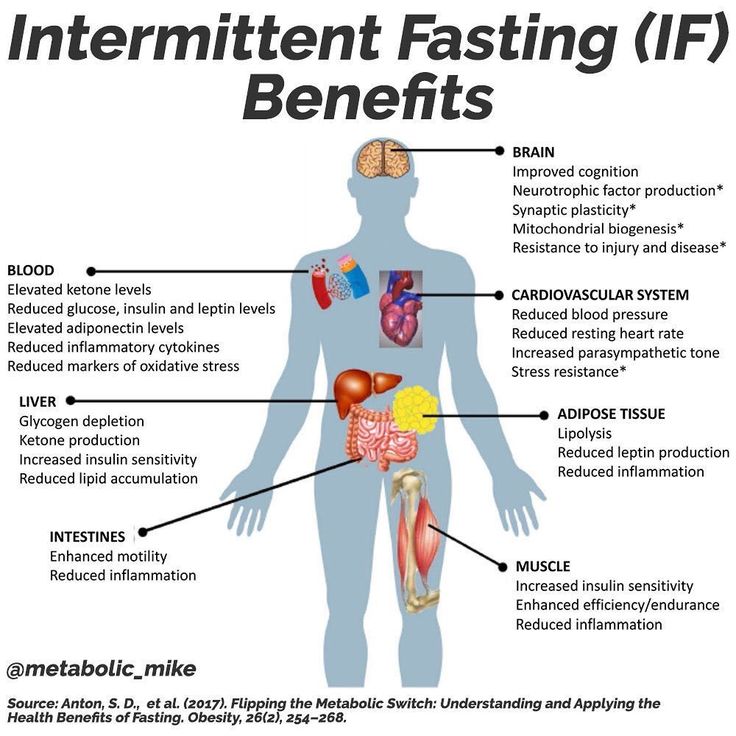 What Intermittent Fasting Does To Your Body Upgraded Health Leptin