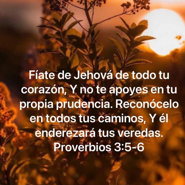 Proverbios 3:5-6 Fíate de Jehová de todo tu corazón, Y no te apoyes en ... Proverbios 3:5-6 Fíate de Jehová de todo tu corazón, Y no te apoyes en ...