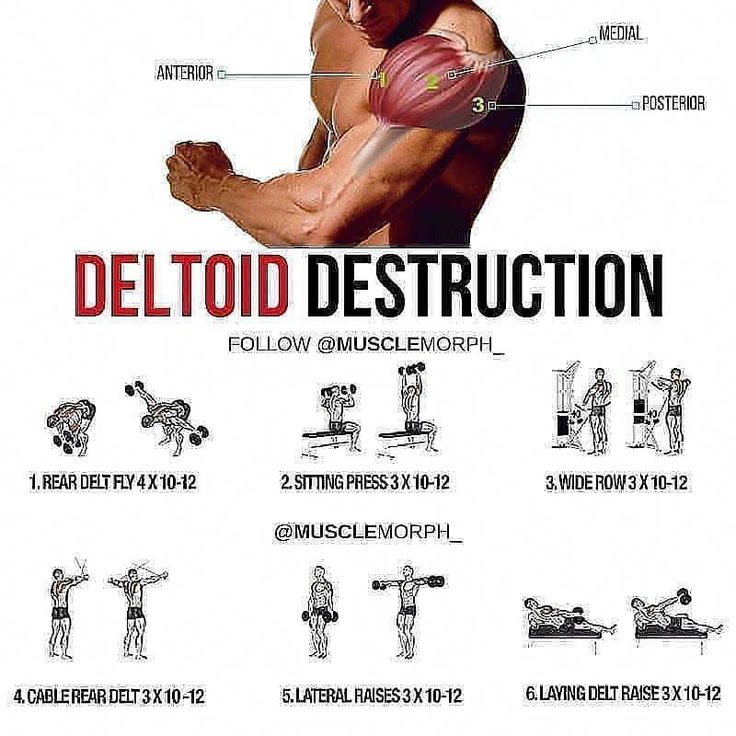 Workout For Your Deltoids For More Content Follow Us Tipstogainmuscles Fitness Bbg Emusic