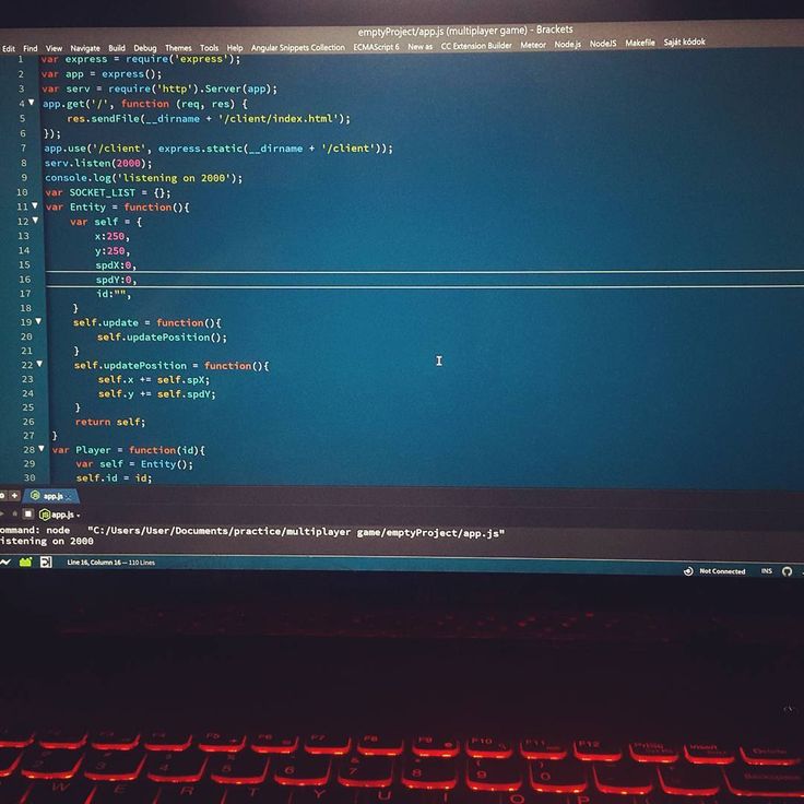 Working On A Multiplayer Game Softwareengineer Software