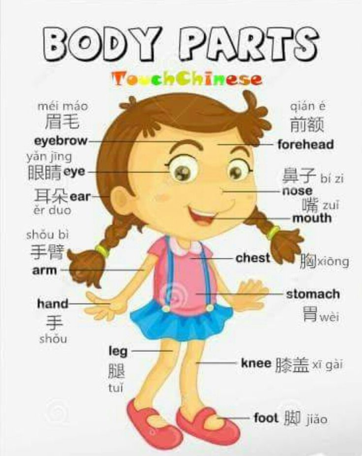 Body Parts Vocabulary Chinese Mandarin Language Learn Chinese Chinese Language Learning