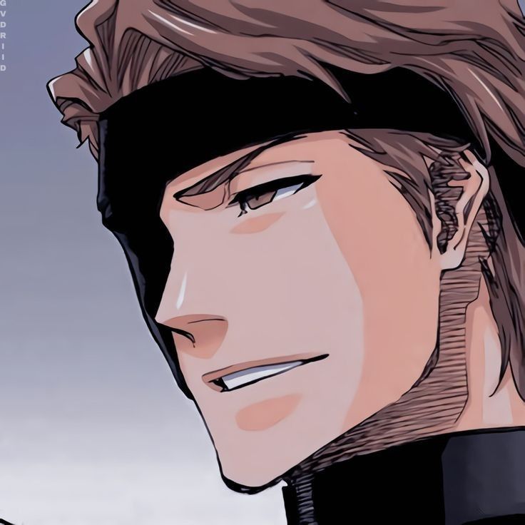 Pin On Sosuke Aizen