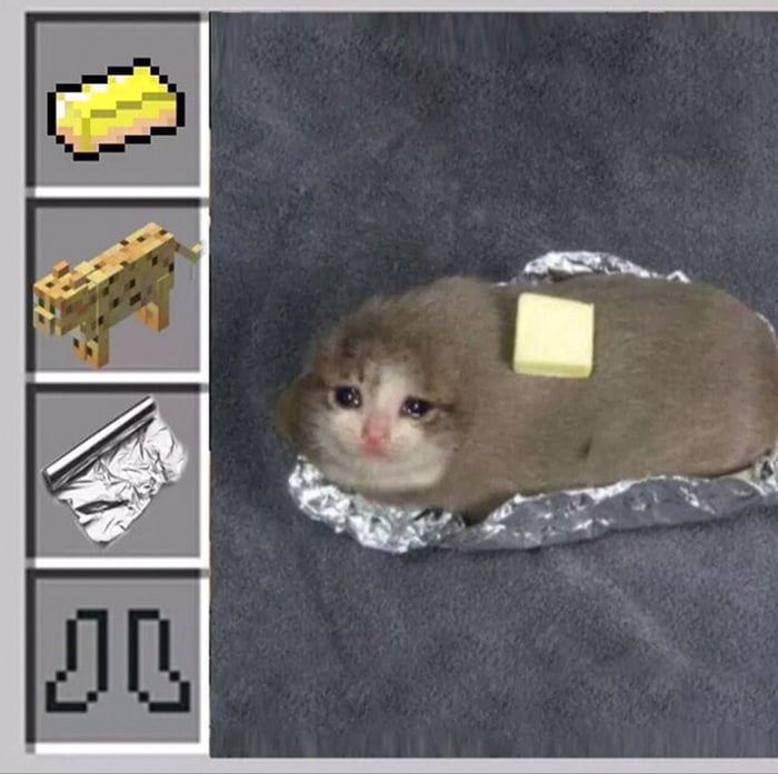 Pancat Wtf Minecraft Cat Cat Memes Silly Cats