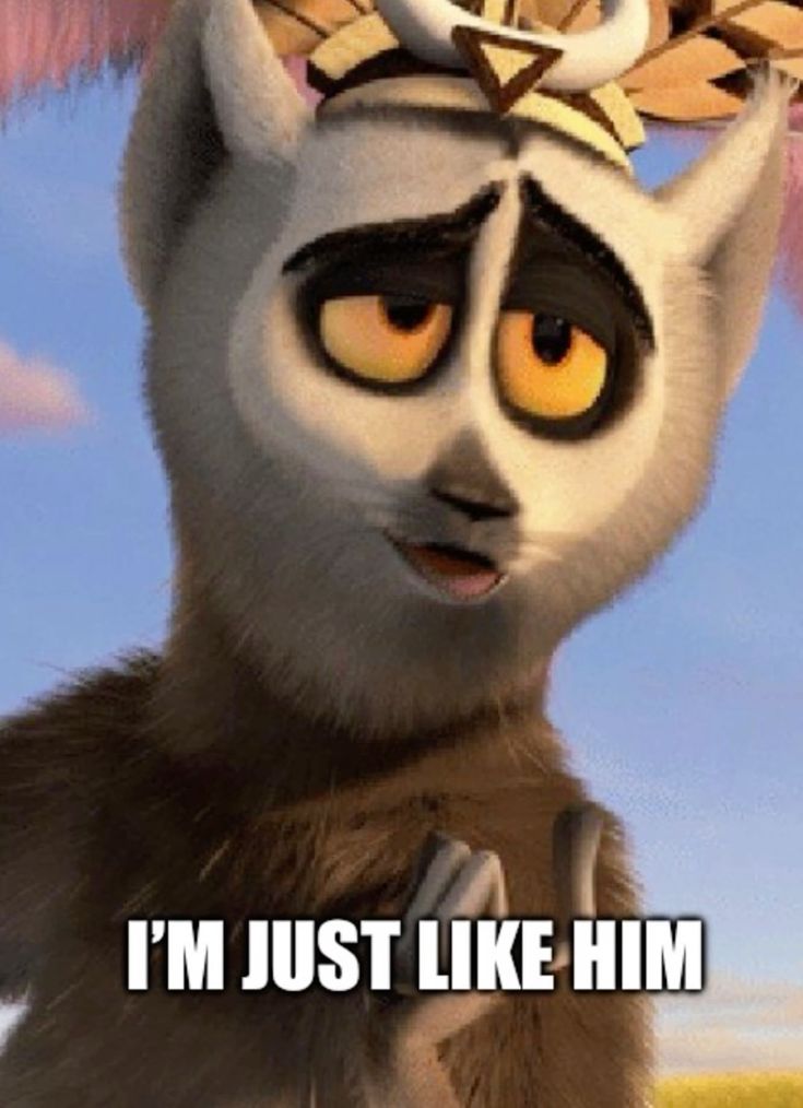 King Julian Supremacy Schattige Dieren Dieren Schattig