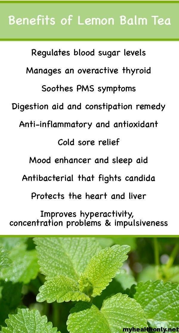 14 Incredible Benefits Of Lemon Balm You Must To Know Lemon Balm Benefits Lemon Grass
