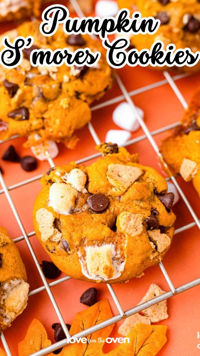 Pumpkin Smores Cookies In 2024 Pumpkin Recipes Dessert Fall Cookie Recipes Fall Recipes