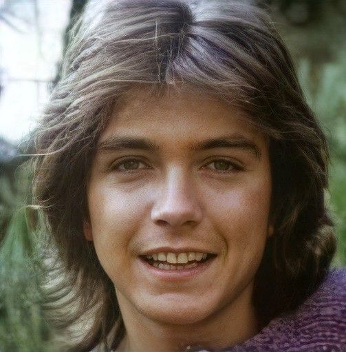 Pin By Janice Campbell On David Cassidy My Teenage Heartthrob David Cassidy Lovely Smile