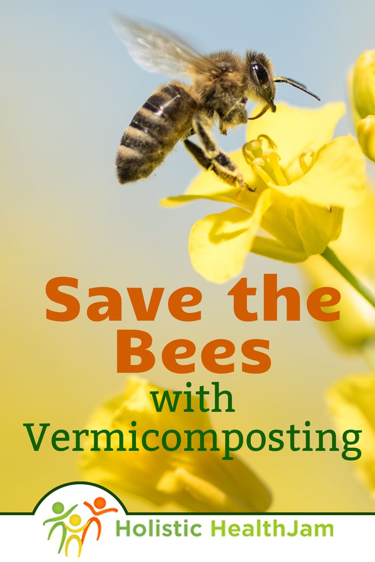 8 Worm Bin Ideas How To Make A Homemade Worm Compost Bin Vermicomposting Worm Composting