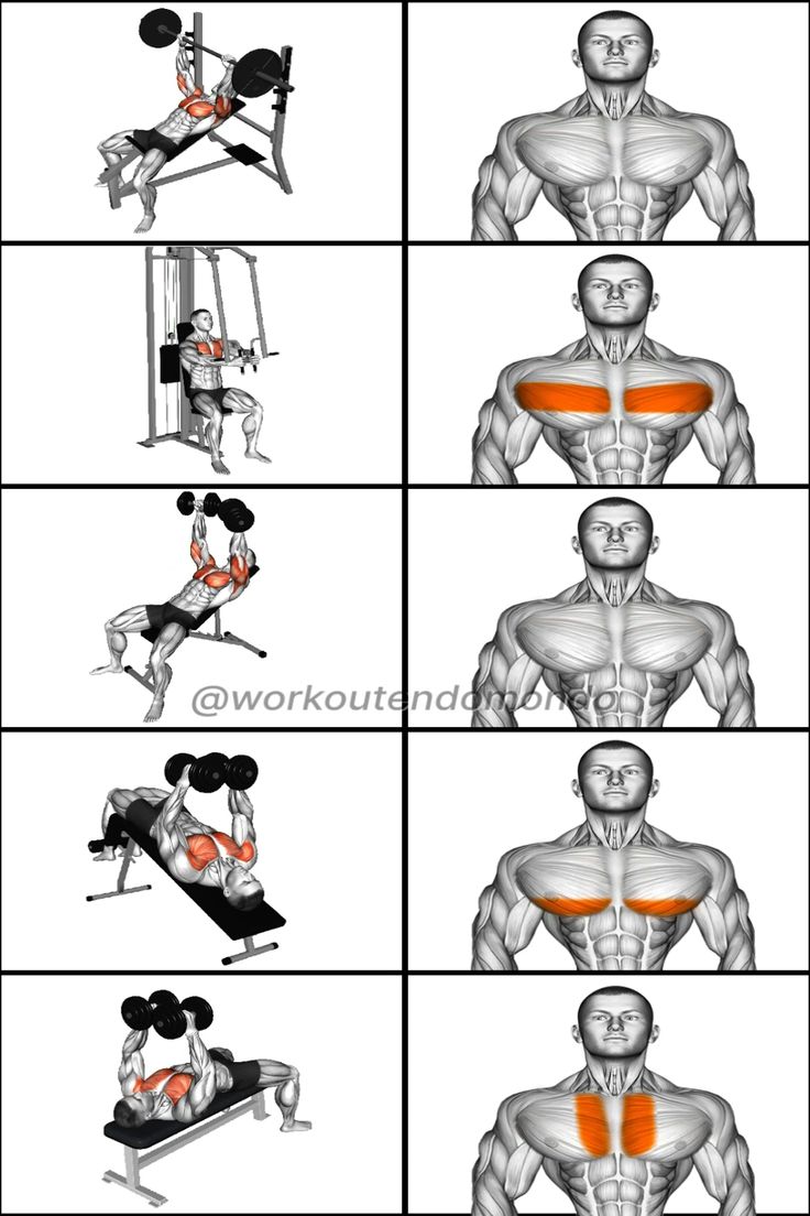 Build A Powerful Chest Best Chest Workouts For Men In 2024 Chest Workout Routine Chest