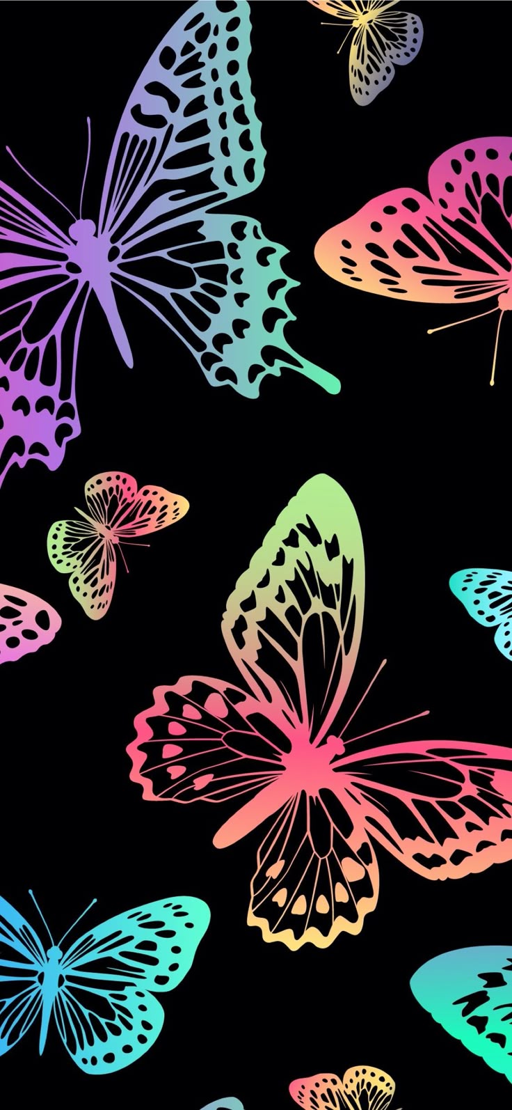 Colorful Butterfly Wallpaper For Your Phone