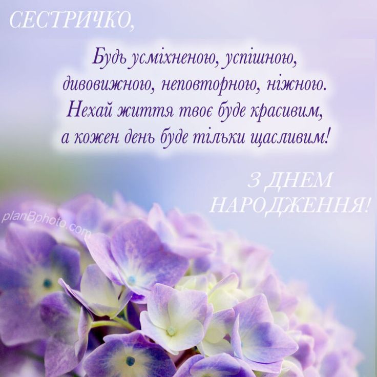 Красиве вітання для сестрички з трояндами С днем рождения С днем