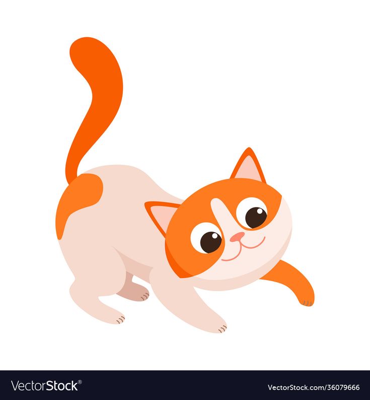 Funny Kitten With Red Spots Playing Vector Image On Vectorstock Kittens Funny Kittens Fluffy Cat