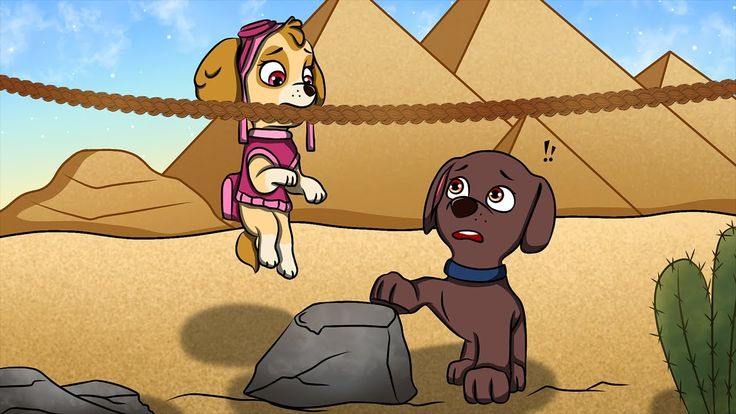 Paw Patrol Cartoon Skyes Rescue Mission