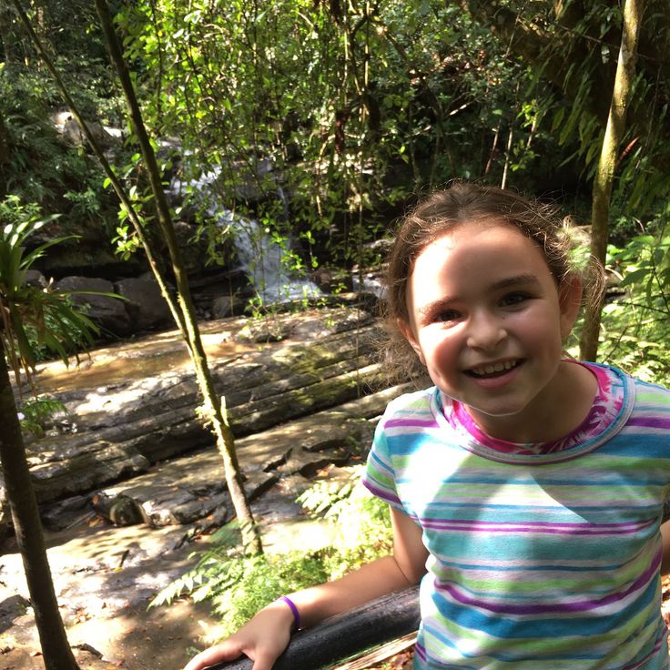The El Yunque National Forest Is The Only Tropical Rain Forest In The United States Forest