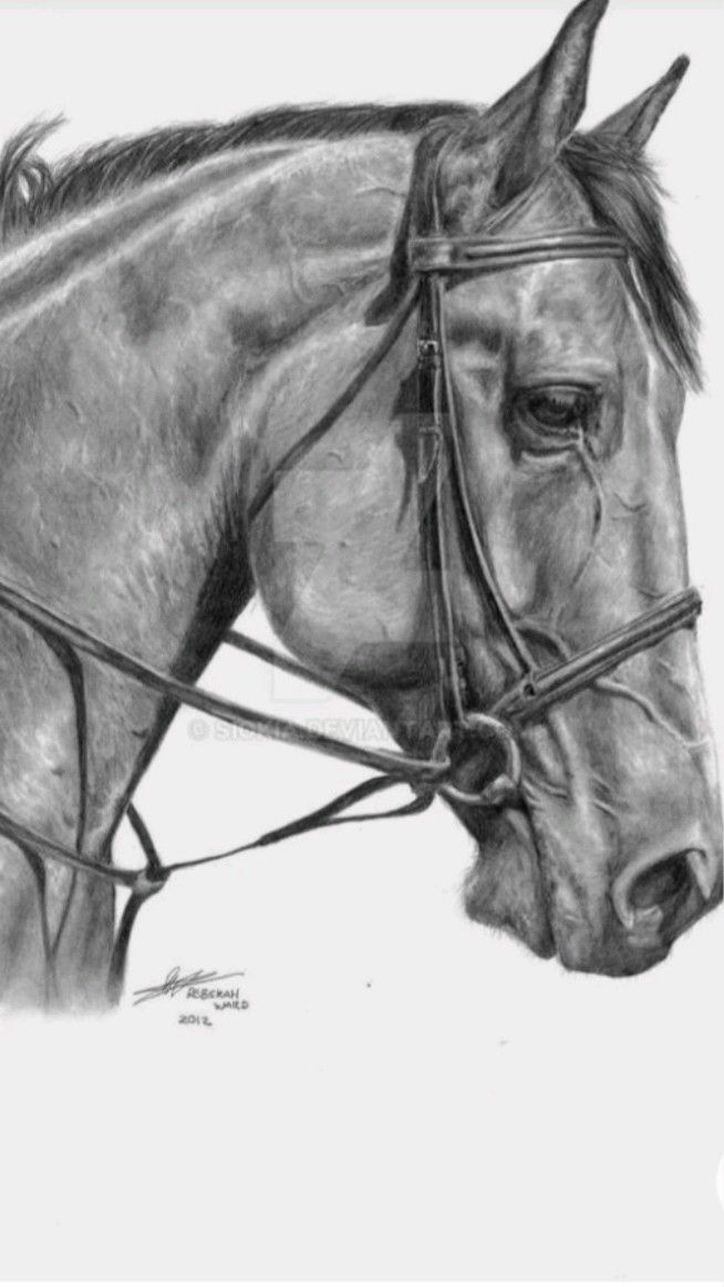 Dessins Référence ⭐️sympa à Dessiner⭐️ Noir Et Blanc Au Crayon De Bois