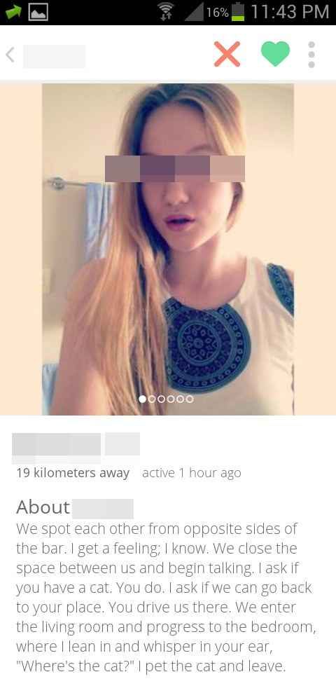 The 23 Most Important Moments In Tinder History Funny Dating Memes
