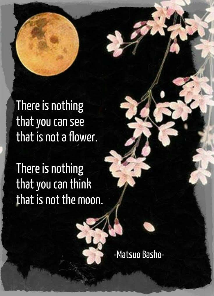 Pin By Marina Caldara On Haiku Illustrate Haiku Poems Haiku Moon Poems