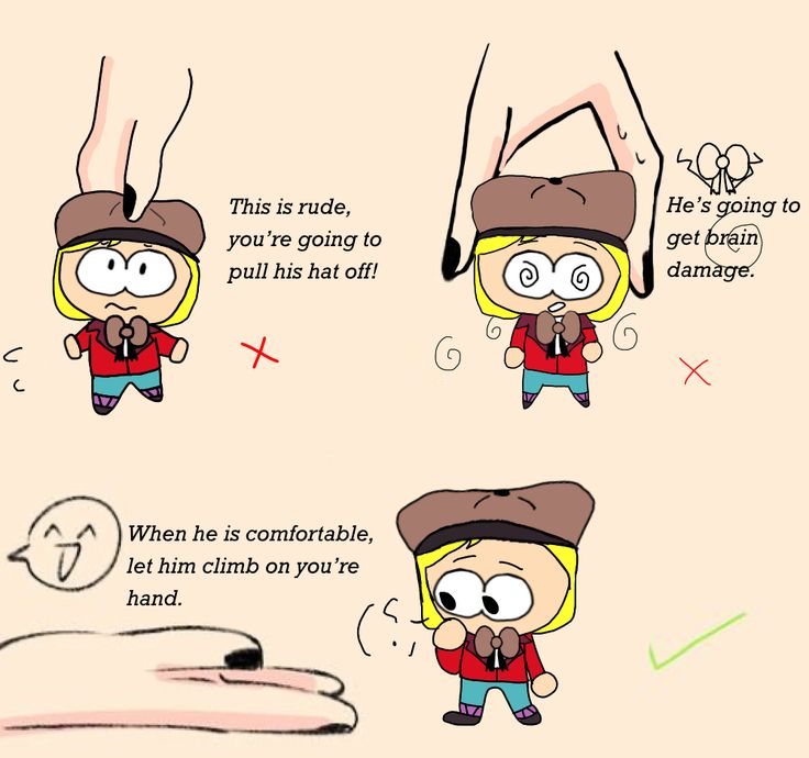 How To Pickup A Pip South Park Funny South Park South Park Canadians