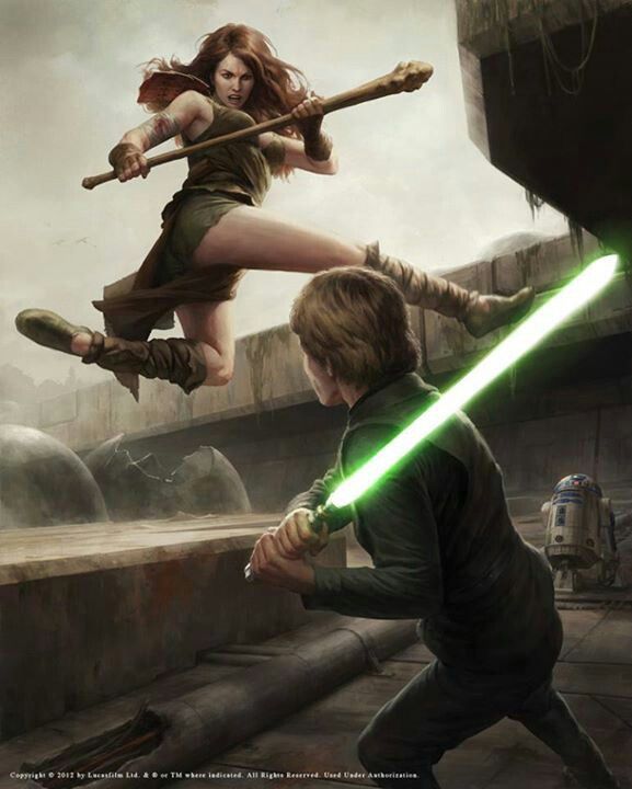 Luke Skywalker And Mara Jade Star Wars Illustration Star Wars Artwork Star Wars Concept Art