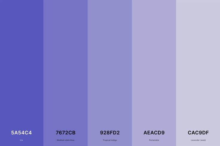 25 Best Indigo Color Palettes With Names And Hex Codes In 2024