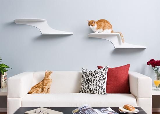 Cat Climbing Shelves From The Refined Feline Cat Climbing Shelves Cat